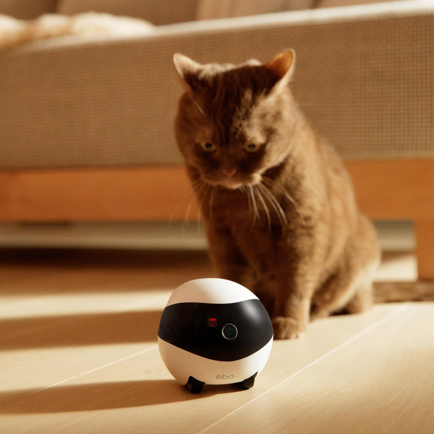 EBO Air Smart Home Moving Robot – Enabot Malaysia