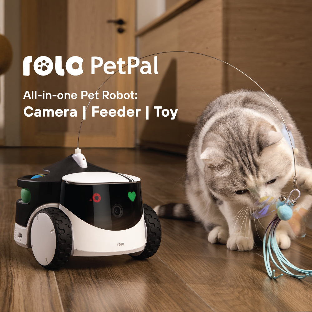 Rola PetPal - Robot for Cats and Dogs – Enabot Malaysia