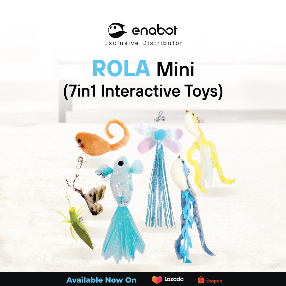 Enabot ROLA Mini Cat Teaser Set – Enabot Malaysia