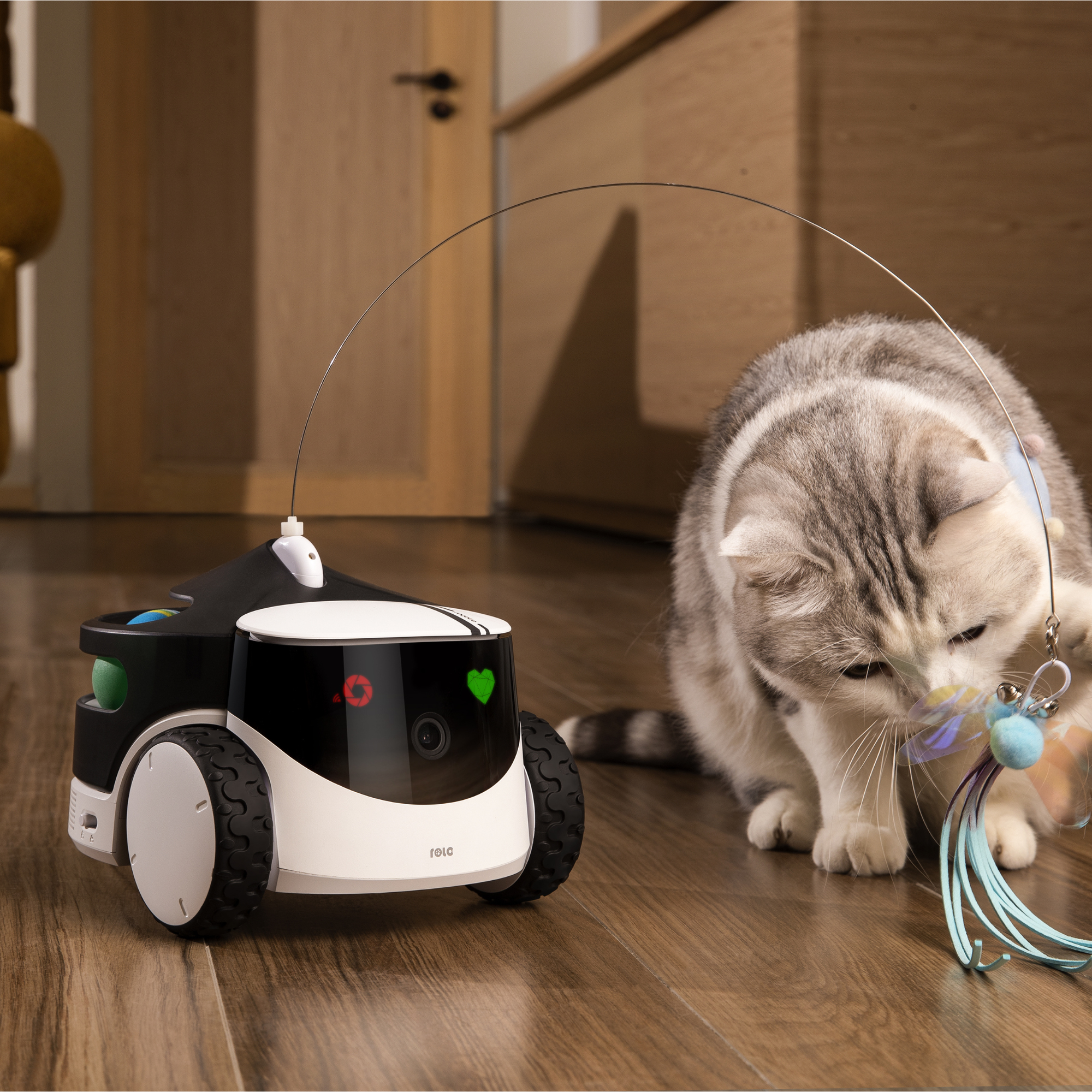 Enabot Rola PetPal - Robot for Cats and Dogs – Enabot Malaysia